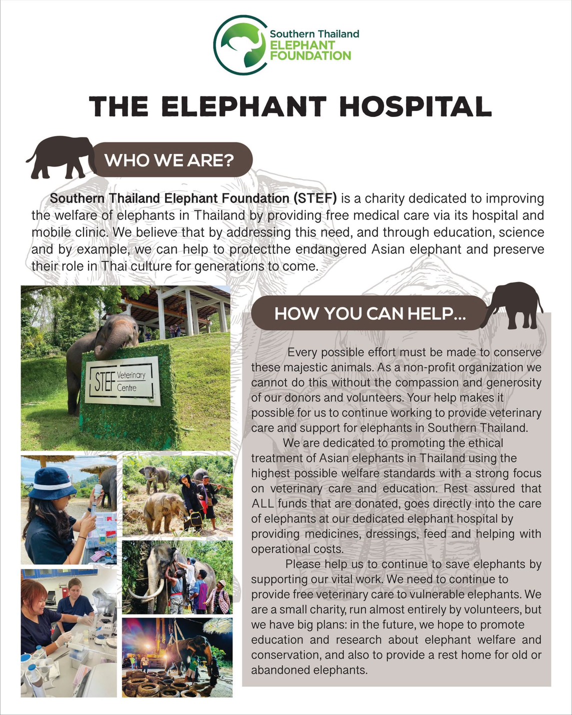 Elephant Hospital - Khao Sok Elephant Conservation